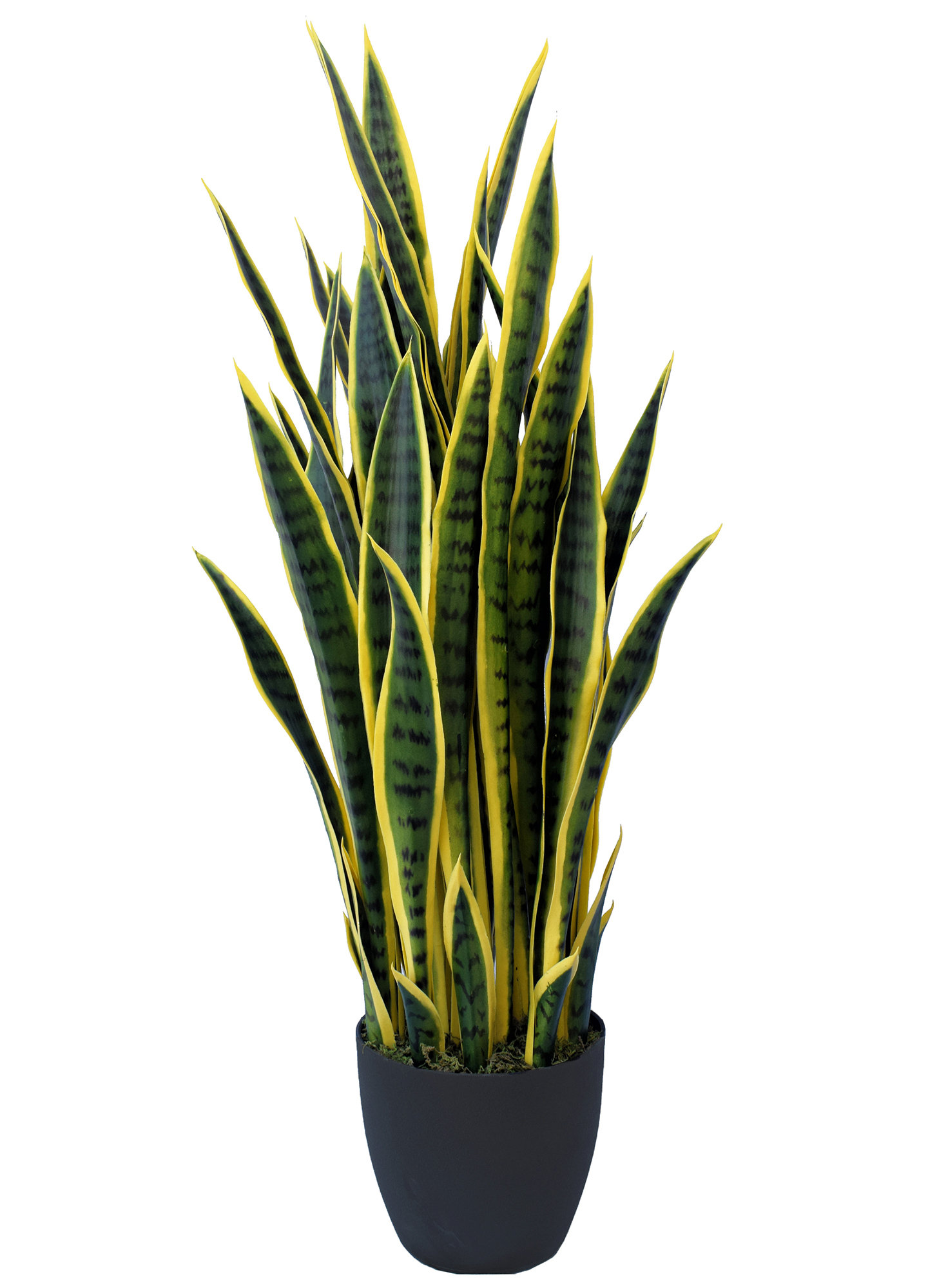 Orren Ellis Sansevieria Artificial Snake Plant Succulent in Pot Reviews Wayfair